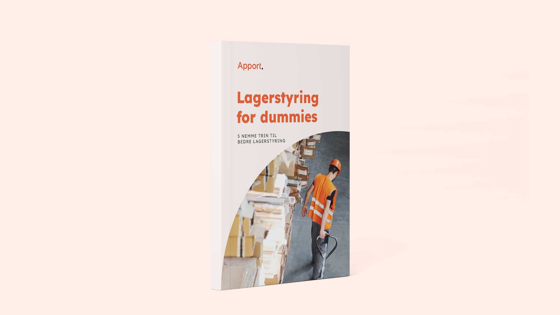 Warehouse Management for Dummies - Apport Systems