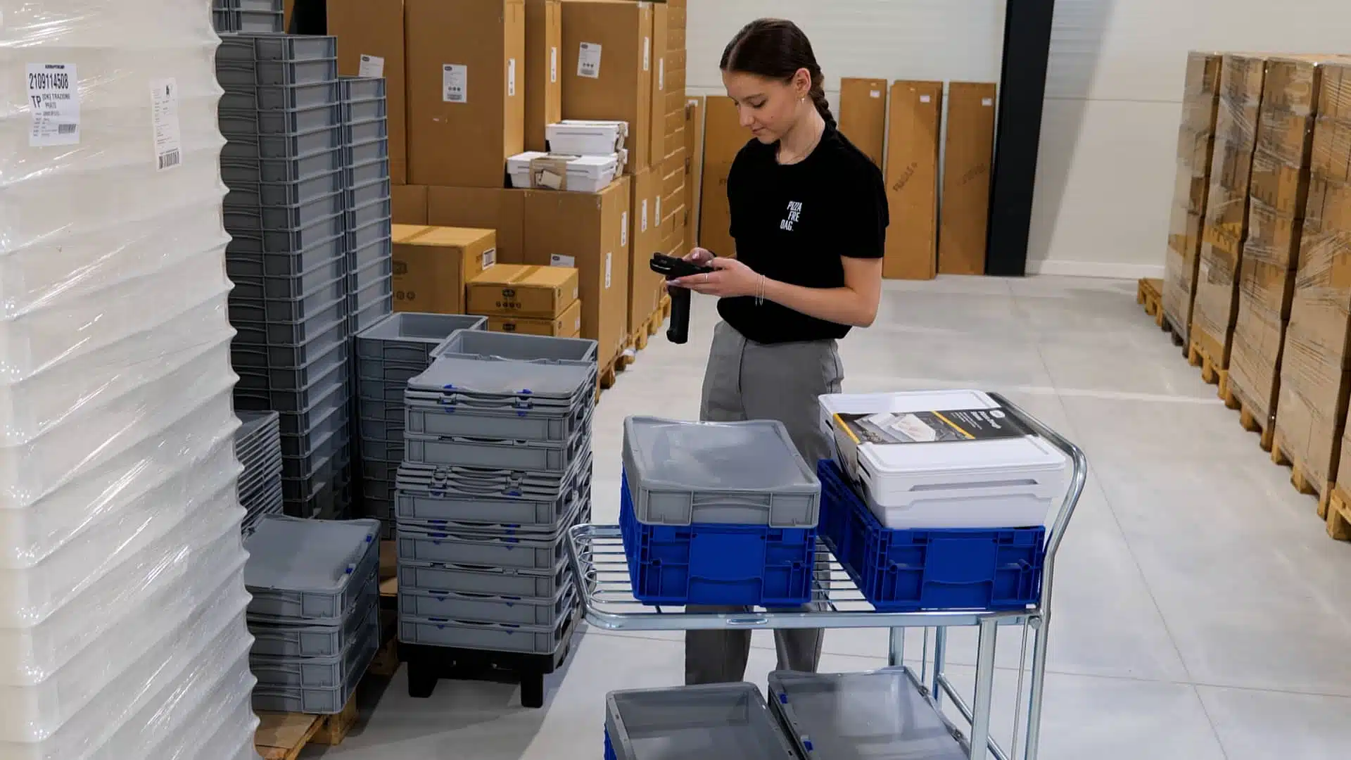 Apport Starter WMS - Apport