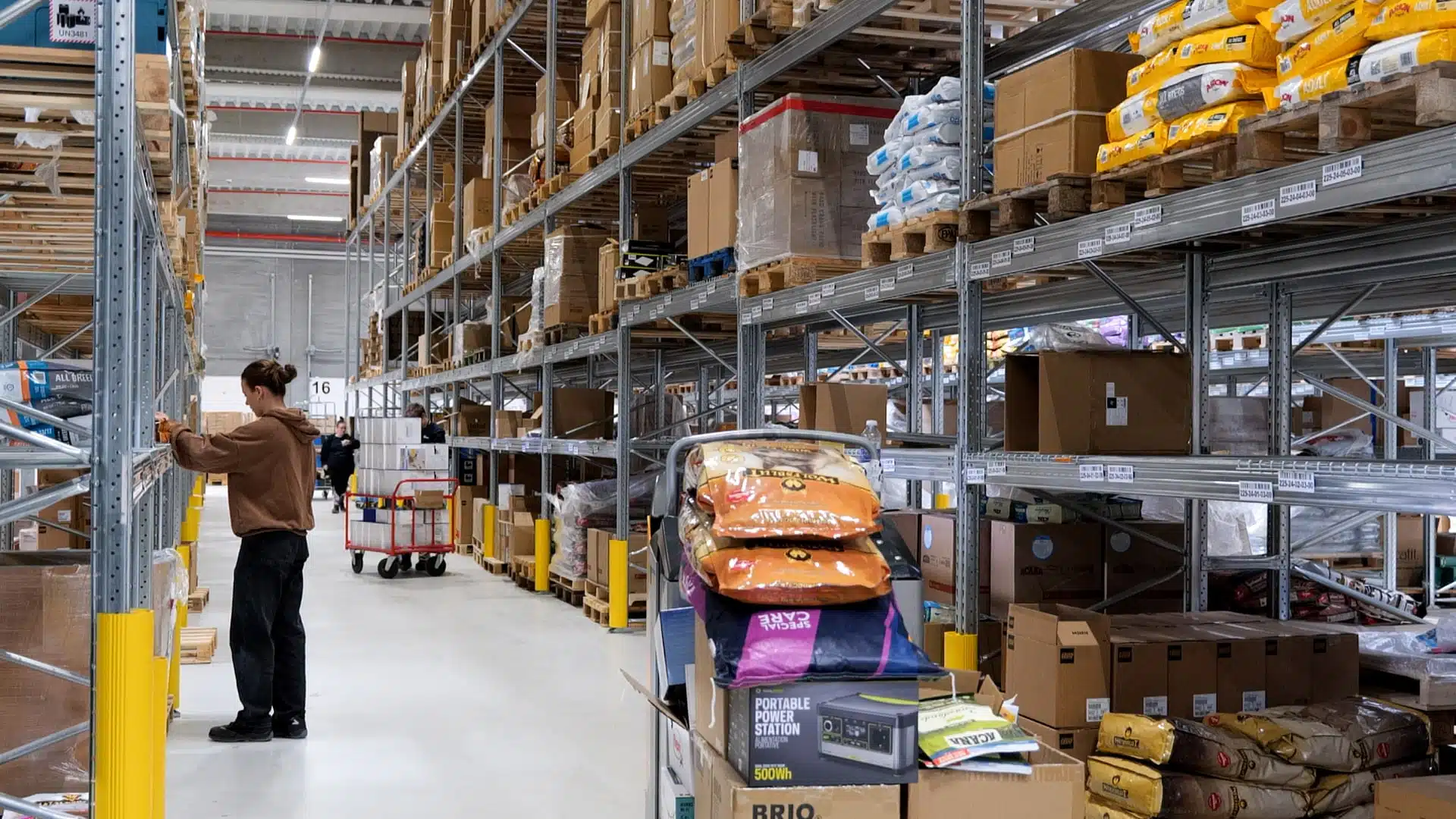 Coolshop optimizes logistics with Geek+ and automation - Apport